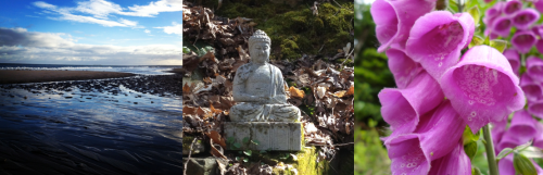 The Balance Point Acupuncture & Wellness – Proudly offering Acupuncture ...